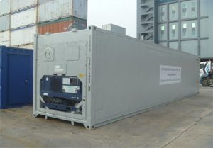 Freezer and Chiller Container | Container Specialist Pte Ltd